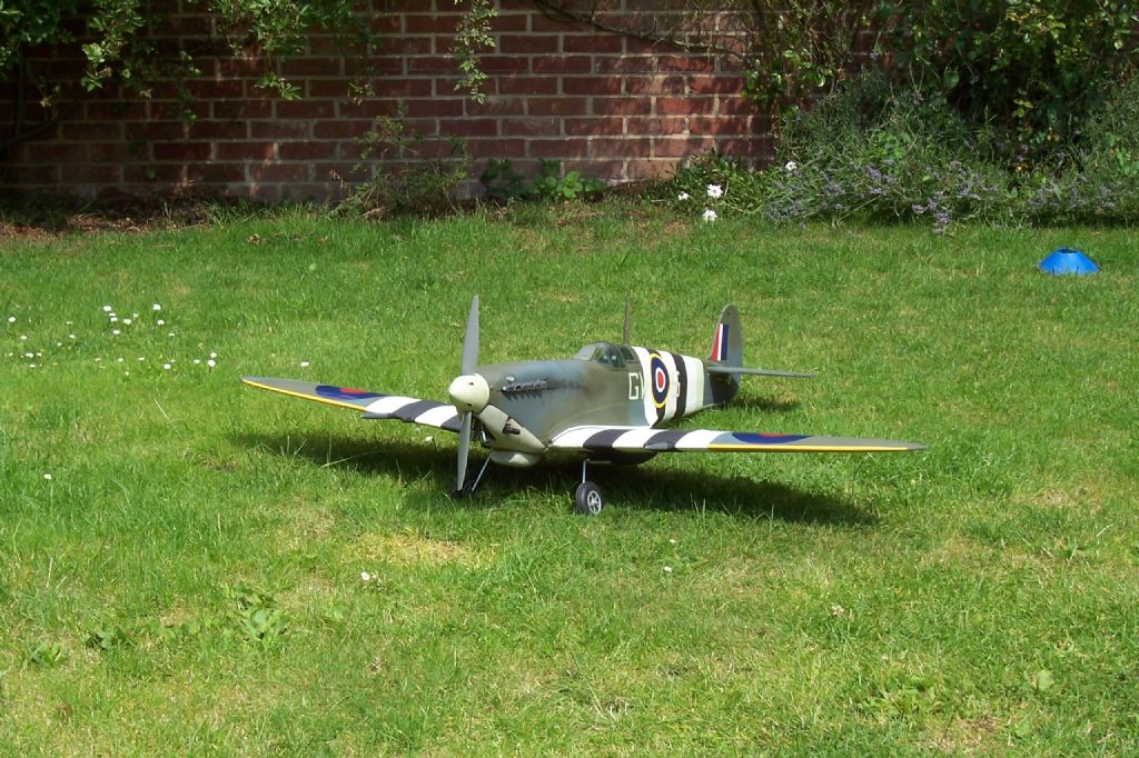 You can teach monkeys to fly better than that! Cambrian Spitfire - Page ...