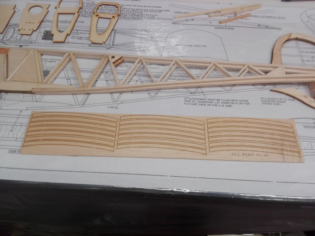 Cambrian Model Company's Answer build. - Build Blogs and Kit Reviews ...