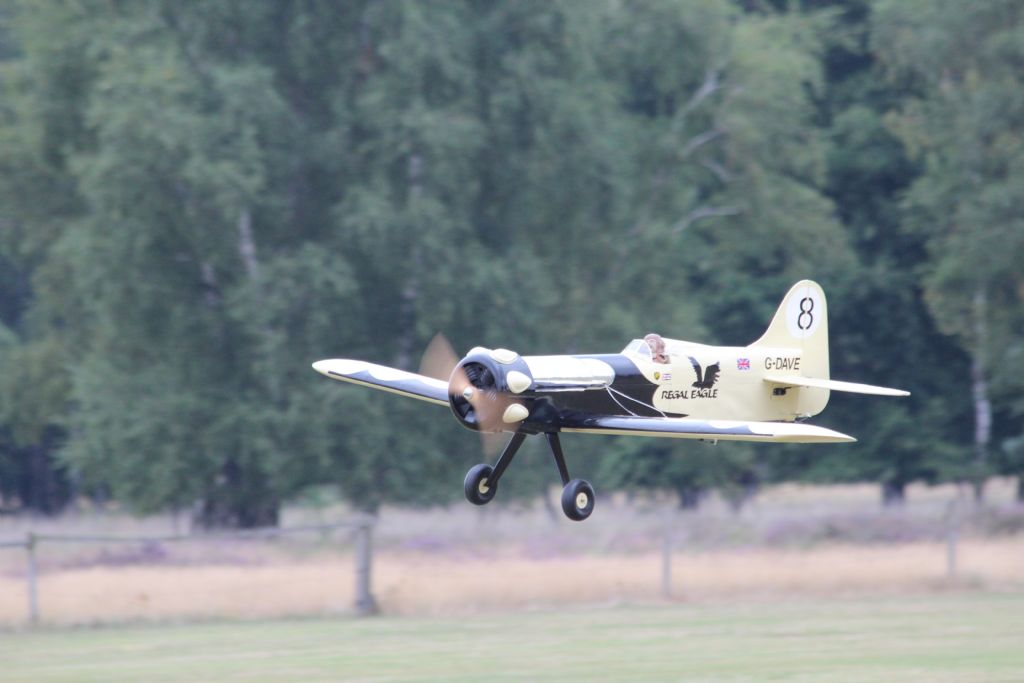 Reagle Eagle – from the ashes. - Build Blogs and Kit Reviews - RCM&E ...