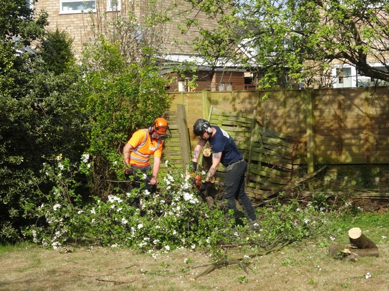another shed story - Chit-chat - RCM&E Home of Model Flying Forums