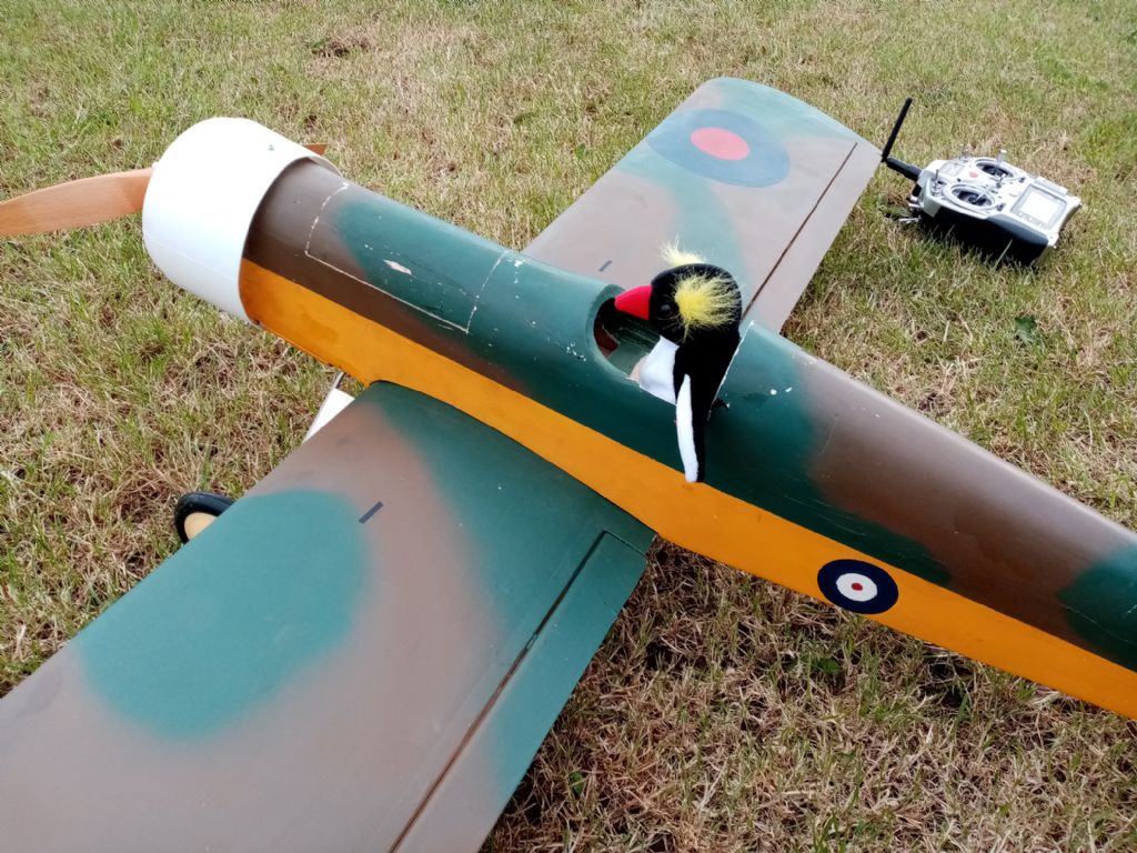 Priory Models Silhouette - Page 6 - Sport, Aerobatic and 3D kits - RCM ...