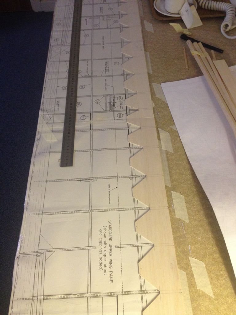 Scale leading edge sheeting - Member Albums - RCM&E Home of Model ...