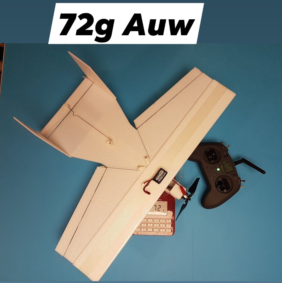 Sig Wonder / FT BL Wonder / Wonder XXS / Fun Bat - Foam models - RCM&E ...