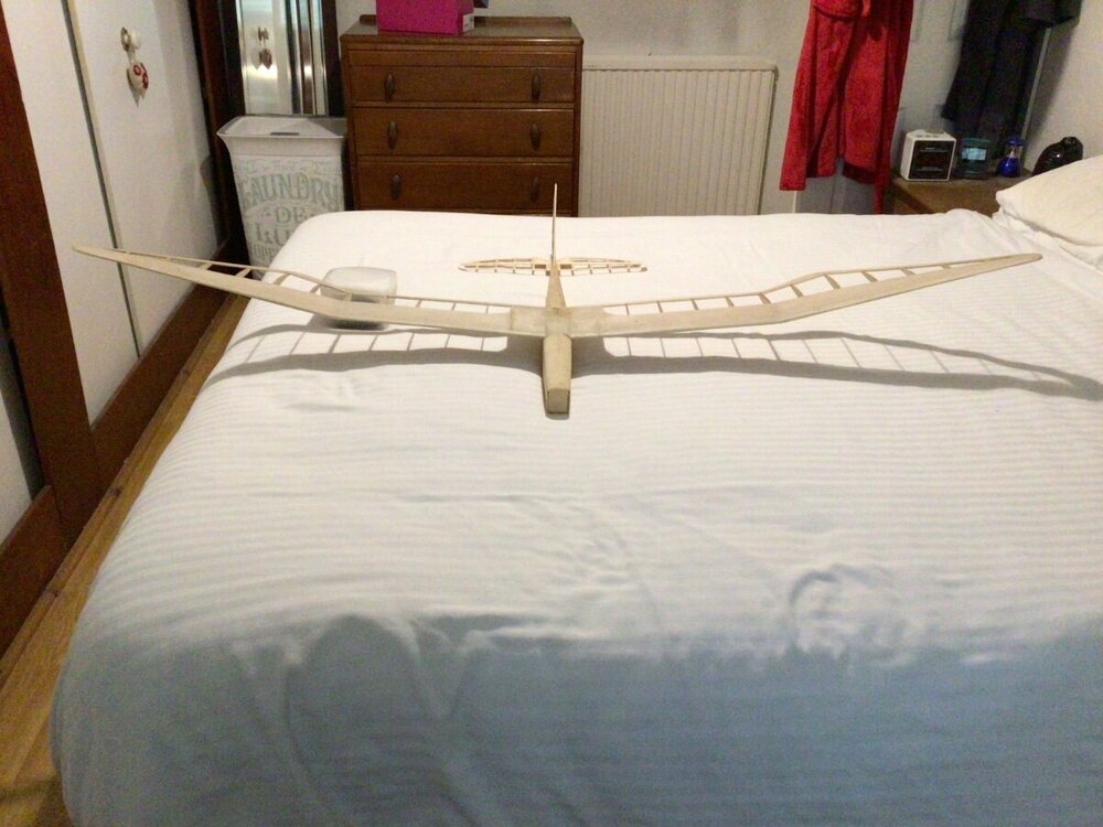 Bird of Time Glider - FOR SALE - RCM&E Home of Model Flying Forums