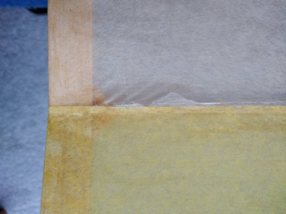 What size plane for tissue covering? - Building from Traditional Kits ...