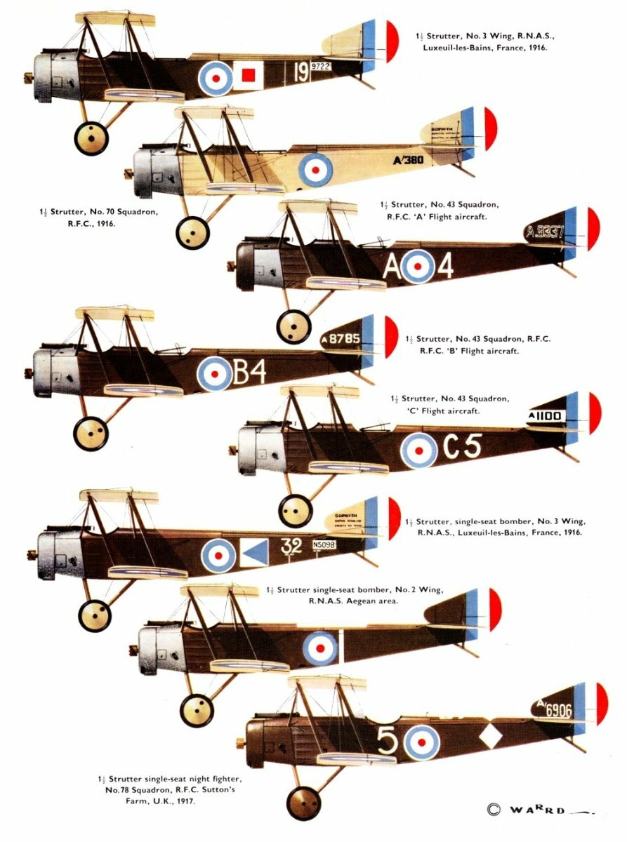 Veron Sopwith 1 1/2 Strutter - Building from Traditional Kits and Plans ...