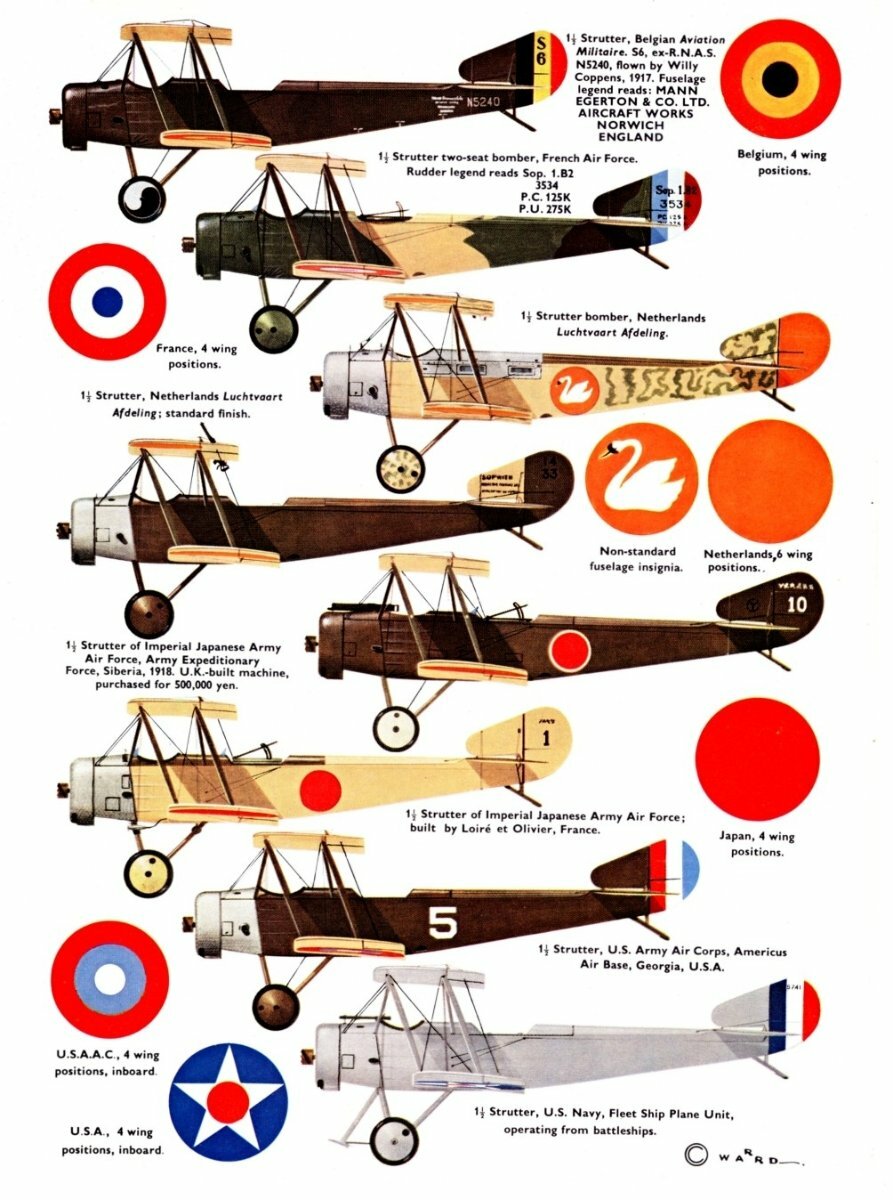Veron Sopwith 1 1/2 Strutter - Building from Traditional Kits and Plans ...