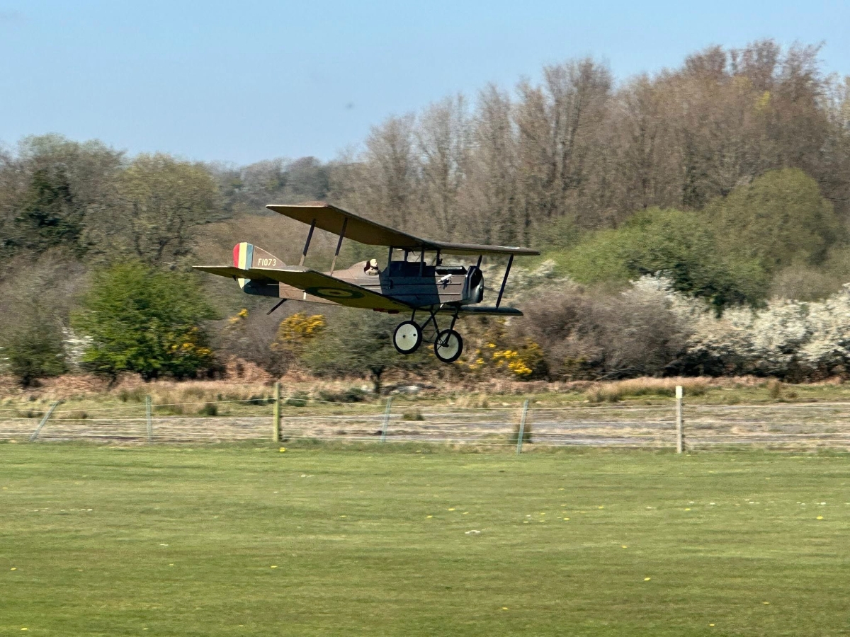 Lazy Ace Biplane - What 4C engine size would you install? - All Things ...